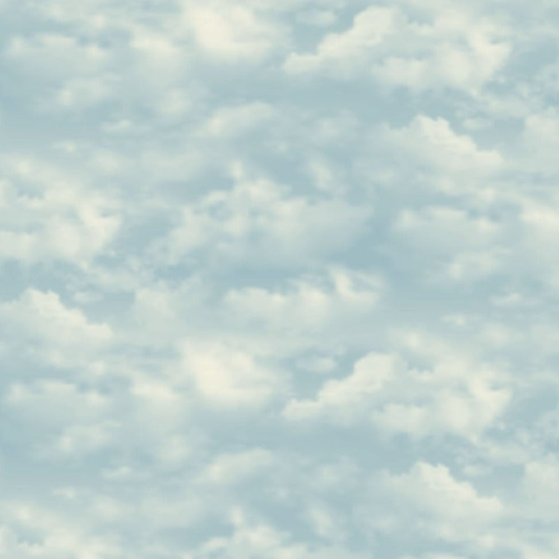 Home On the Range - Blue Big Sky DP 25555-44 – Little Extra Something ...